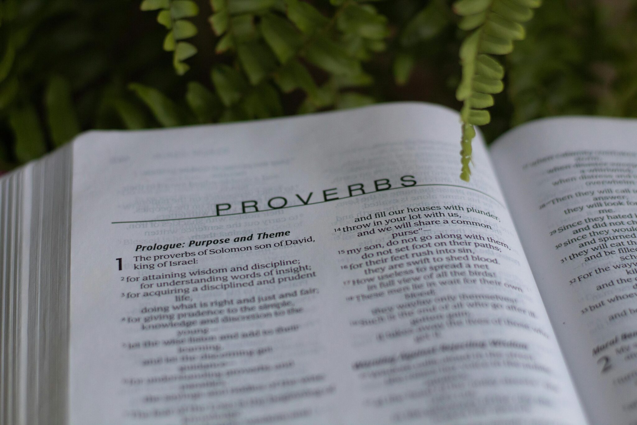 Proverbs Devotional - Our Core Values: